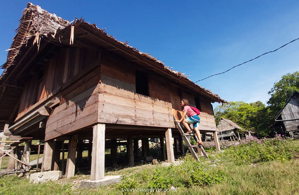 BERBAGI PENGALAMAN SERU NGETRIP KE TANIMBAR KEI MALUKU